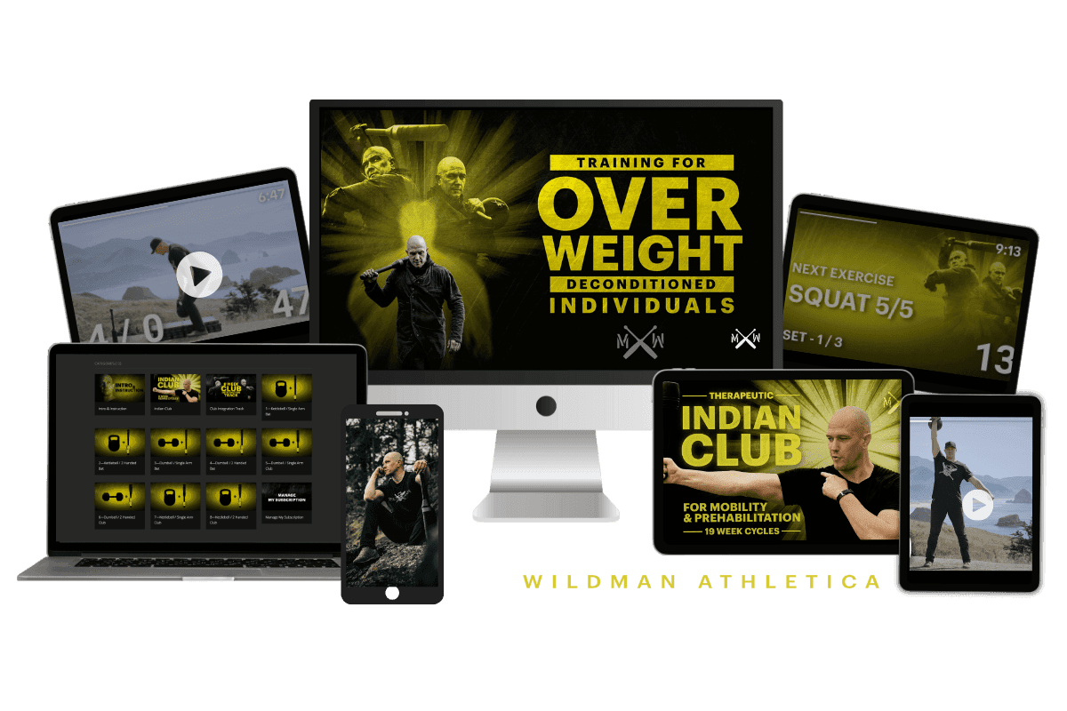 Program: Training for Overweight Individuals 2 – Wildman Athletica